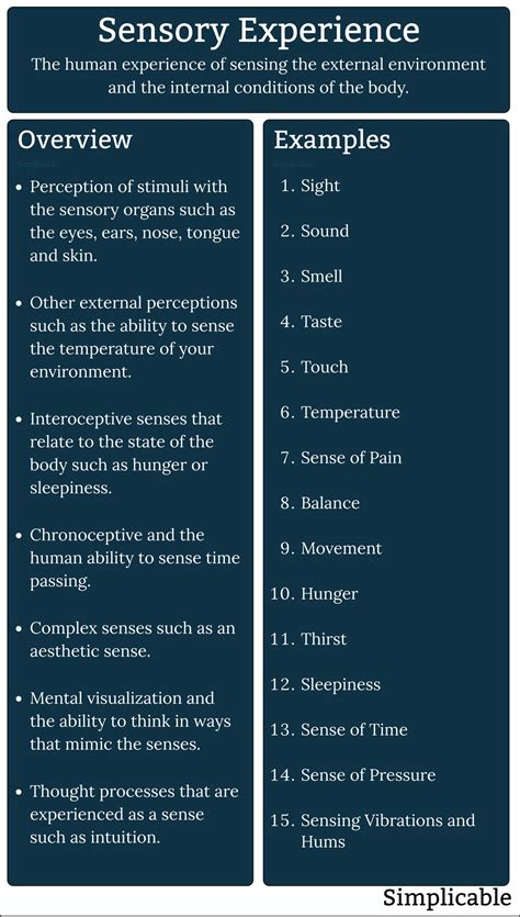 30 Examples Of Sensory Experience Simplicable
