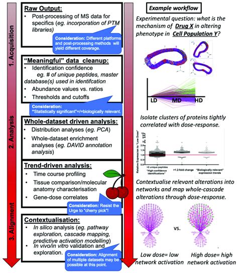 Schematic Summarising Workflows Described To Optimise Omics Style