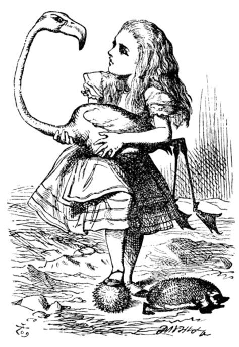John Tenniel Alice In Wonderland Illustrations Dodo Caterpillar