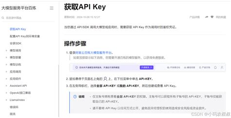 【大模型】阿里云百炼平台对接deepseek R1大模型使用详解 Csdn博客