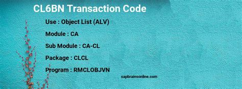 CL BN SAP Tcode For Object List ALV