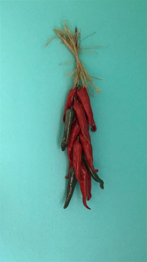 Red Chili Ristra New Mexico Christmas Hanging Chilies Etsy