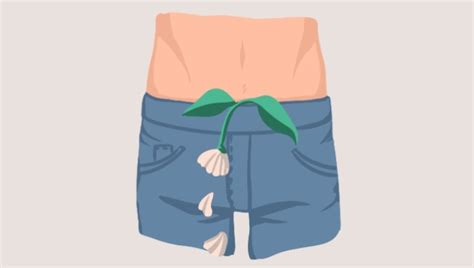 Ayurvedic Herbs That Can Help You Boost Your Sex Life HealthShots