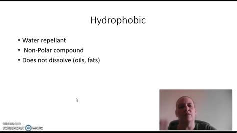 Hydrophilic Vs Hydrophobic Youtube