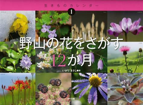 野山の花をさがす12か月 アリス館