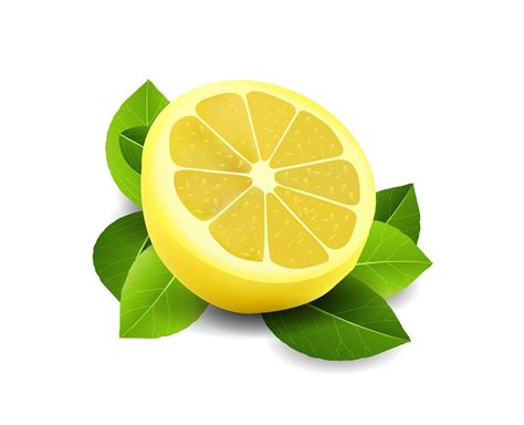 レモン半分のイラスト