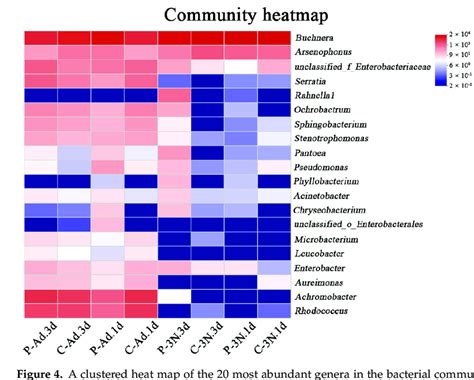 A Clustered Heat Map Of The 20 Most Abundant Genera In The Bacterial