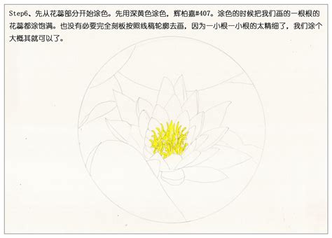 彩色铅笔画之鲜艳荷花荷叶 PS教程网