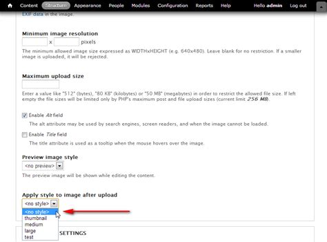 Original Image With Style Drupal Org