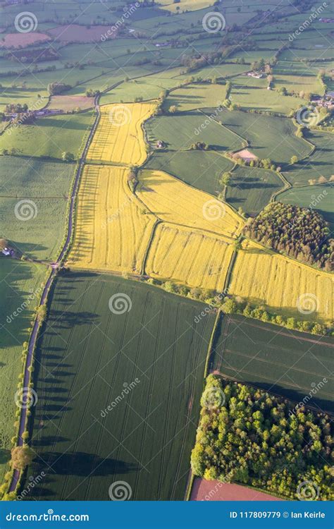 Ariel View Of Fields And Hedgerows Stock Image Image Of Fields