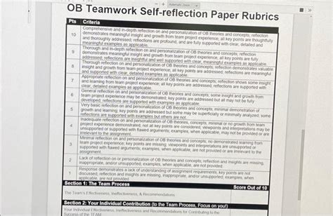 Individual Analysis Report Self Reflection Paper Chegg