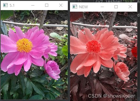 Opencv Alpha Python Opencv Csdn