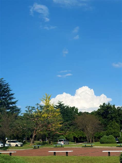 요즘 하늘 진짜 예쁘지 않아 인스티즈 Instiz 일상 카테고리