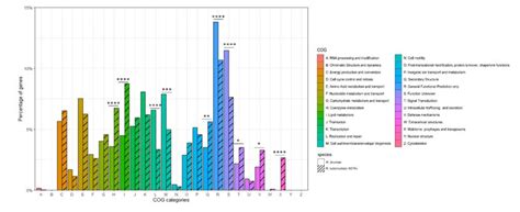 gene annotation comparison of cog distributions shared in m brumae and