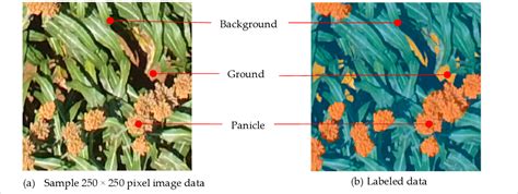 Figure 1 From A Deep Learning Semantic Segmentation Based Approach For