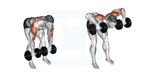 Dumbbell Reverse Fly Guide Benefits And Form
