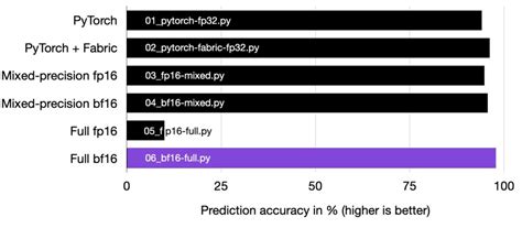 Doubling Neural Network Finetuning Efficiency With 16 Bit Precision