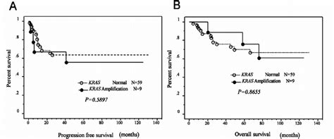 relationship between kras mapk1 amplification or p erk expression