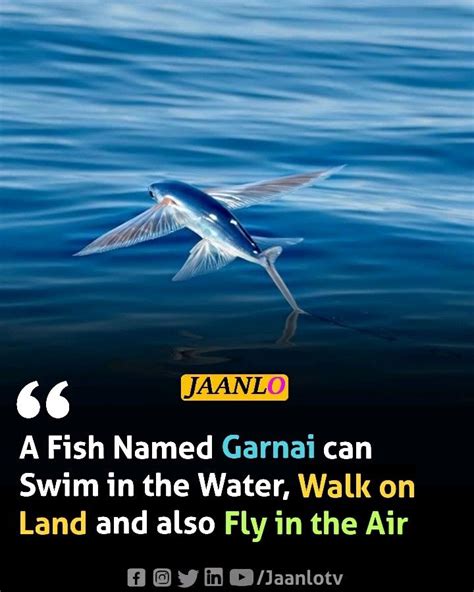 Usama Riaz Posted On Linkedin