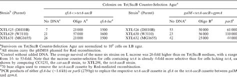 Table 1 From Positive And Negative Selection Using The Teta Sacb