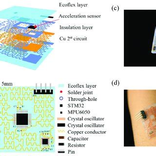 A Schematic Exploded View Illustration Of The Flexible Acceleration Download Scientific