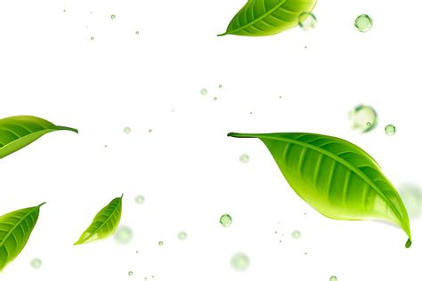 绿草花素材 绿草花元素图片下载 觅知网