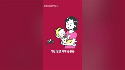 빈대는 질병을 옮겨다 주는 곤충이 아닙니다~ 빈대 빈대방역 Youtube