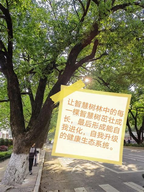 7年级数学思维导图下册20张 几塔之家