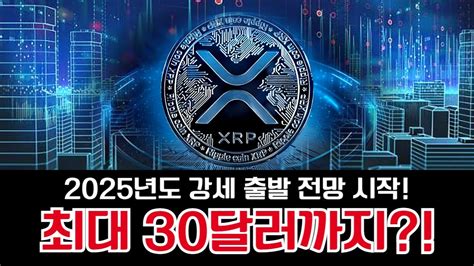리플코인 25년도 역대급 랠리 시작 33달러 까지 돌파한다 Youtube