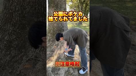公園にポケカが捨てられたと思っていたらまさかの高額カードが入ってた！ ポケカ ポケモン ポケモンカード 開封動画 オリパ開封