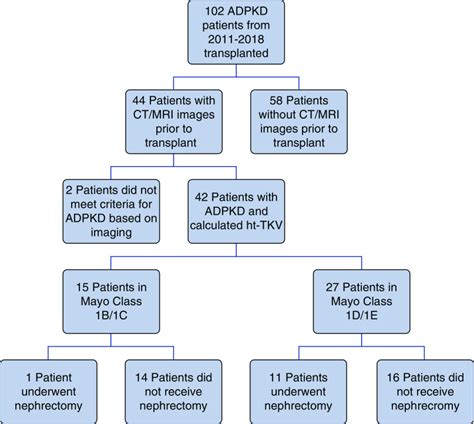 Mayo Imaging Classification May Be Useful In Determining The Need For Nephrectomy In Adpkd Pmc