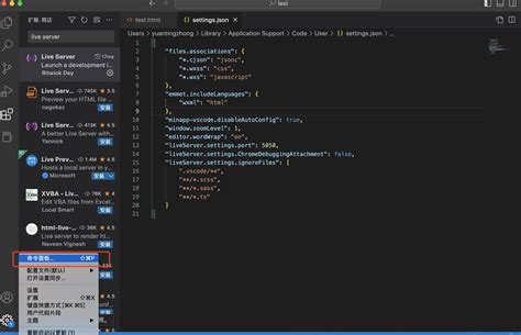 Vs Code Live Server Vscode Live Server Csdn