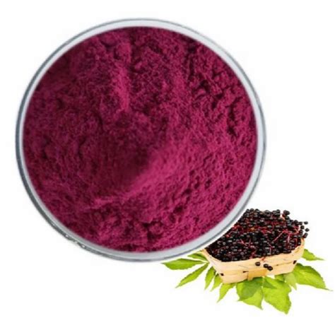 Elderberry Extract Powder Elderberry Powder Latest Price