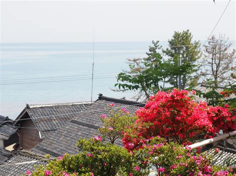 オープンガーデン「萬年寺」 能登見聞録