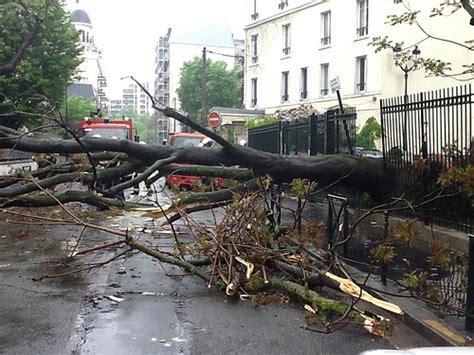 Intempéries Chute Dun Arbre Rue Du Moulin à Puteaux