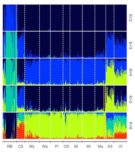 Results From The Bayesian Population Assignment Of Microsatellite Data