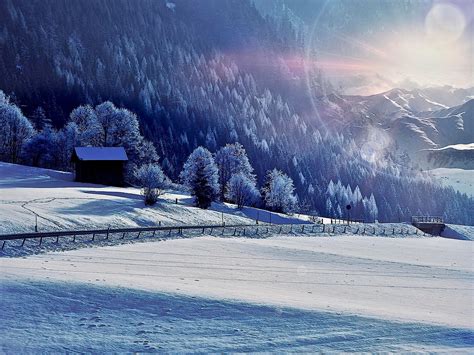 Nature Snow Winter Ice Frost Resort Arctic Alps Freezing