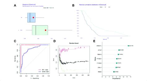 Construction Of Random Forest RF Model A The Residual Distribution
