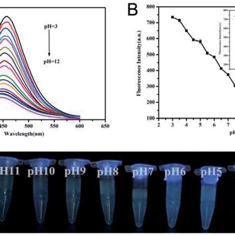 Fluorescence Emission Spectra A Relationship Between Fluorescence