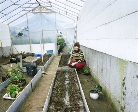 Теплица в земле без отопления | Garden layout, Greenhouse gardening ...