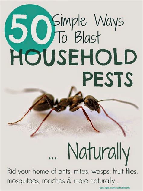 Get Rid Of Household Pests Naturally DIY Craft Projects
