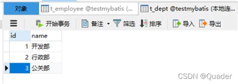 Mybatis映射内部类的使用及注意事项mybatis 内部类 Csdn博客