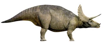 Jurassic Park 3 Triceratopo