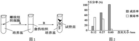 通过植物组织培养技术可以快速繁殖 生产药物及培育无病毒的植株等．图1是植物组织培养的过程 请回答相关问题． 1 图中a表示蓝莓组织培养的脱分化过程．如果要用此方法 在对外植体细胞进行接种前