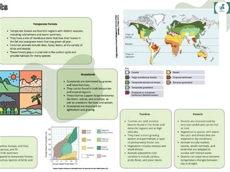 Edexcel Igcse Geography Knowledge Organiser Rural Environments Teaching Resources