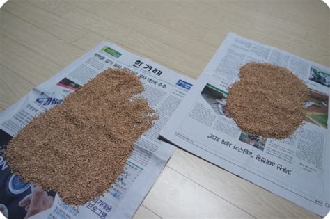 새집 냄새 없애는 법 앞으로 고민없어요