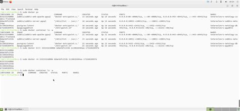 SYS 21 6 04 Issue 1 Roman Teterevlev SYS 21 6 04 GitHub