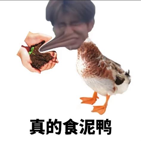 真ikun必备表情包第十五弹（30张） 哔哩哔哩