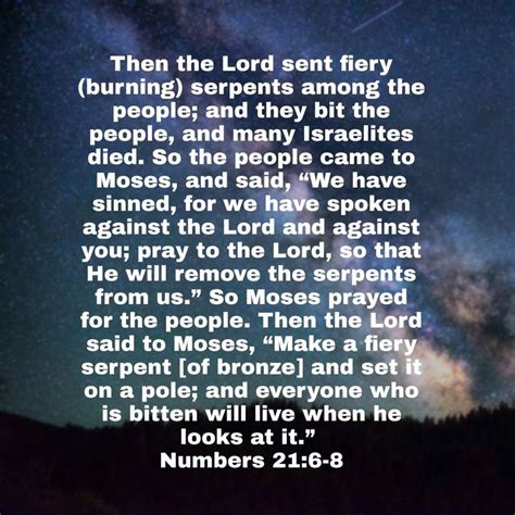 Pin By Lulu Larkin On Bibleanddisorderand Chaos Bible Prayers Bible