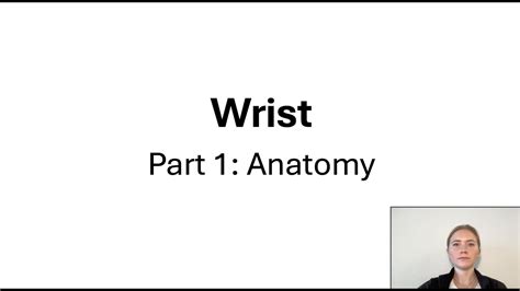Wrist X Ray Anatomy Youtube